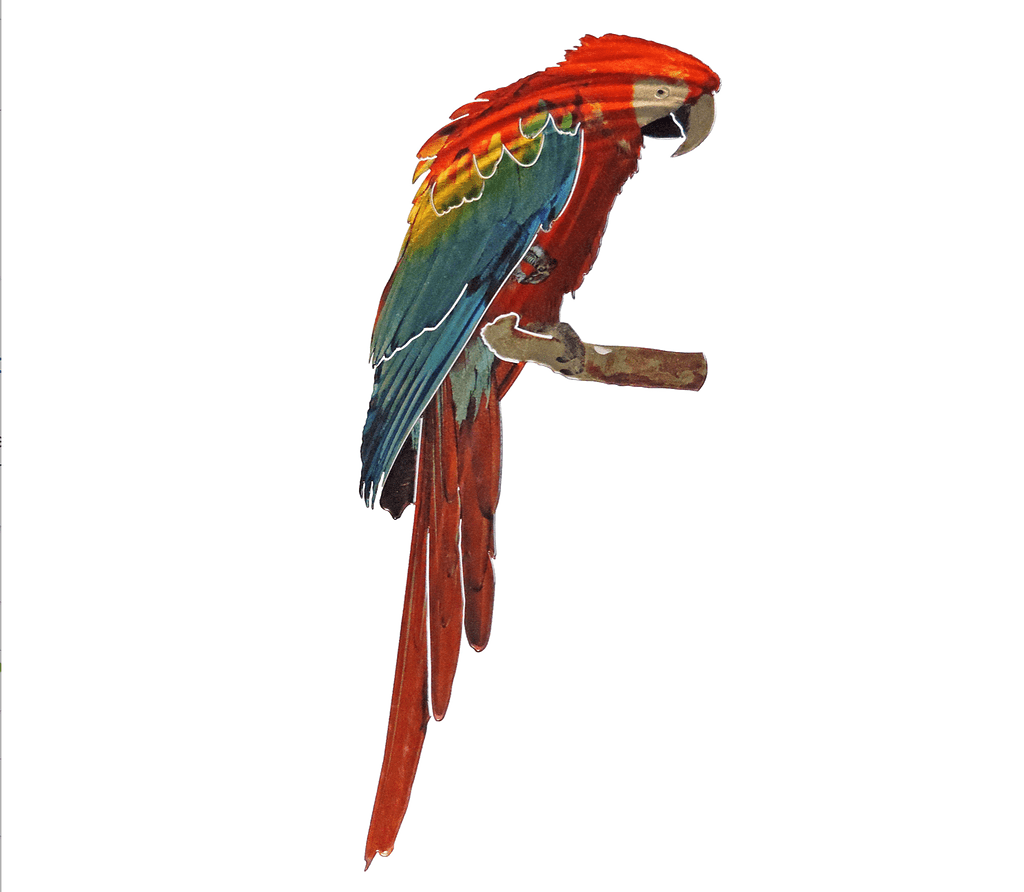 Parrot CNC DXF File & Dye Sublimation Design