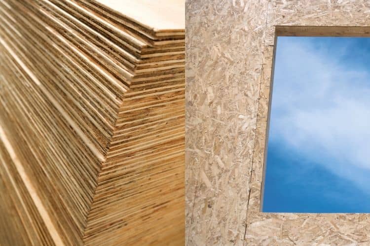 What is Sheesham Wood? (Quick Answer, Applications)
